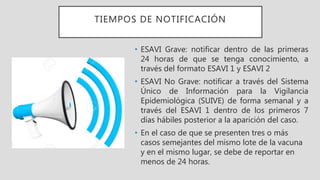 ESAVI (Eventos Supuesta mente Atribuibles a la Vacunacion o ...