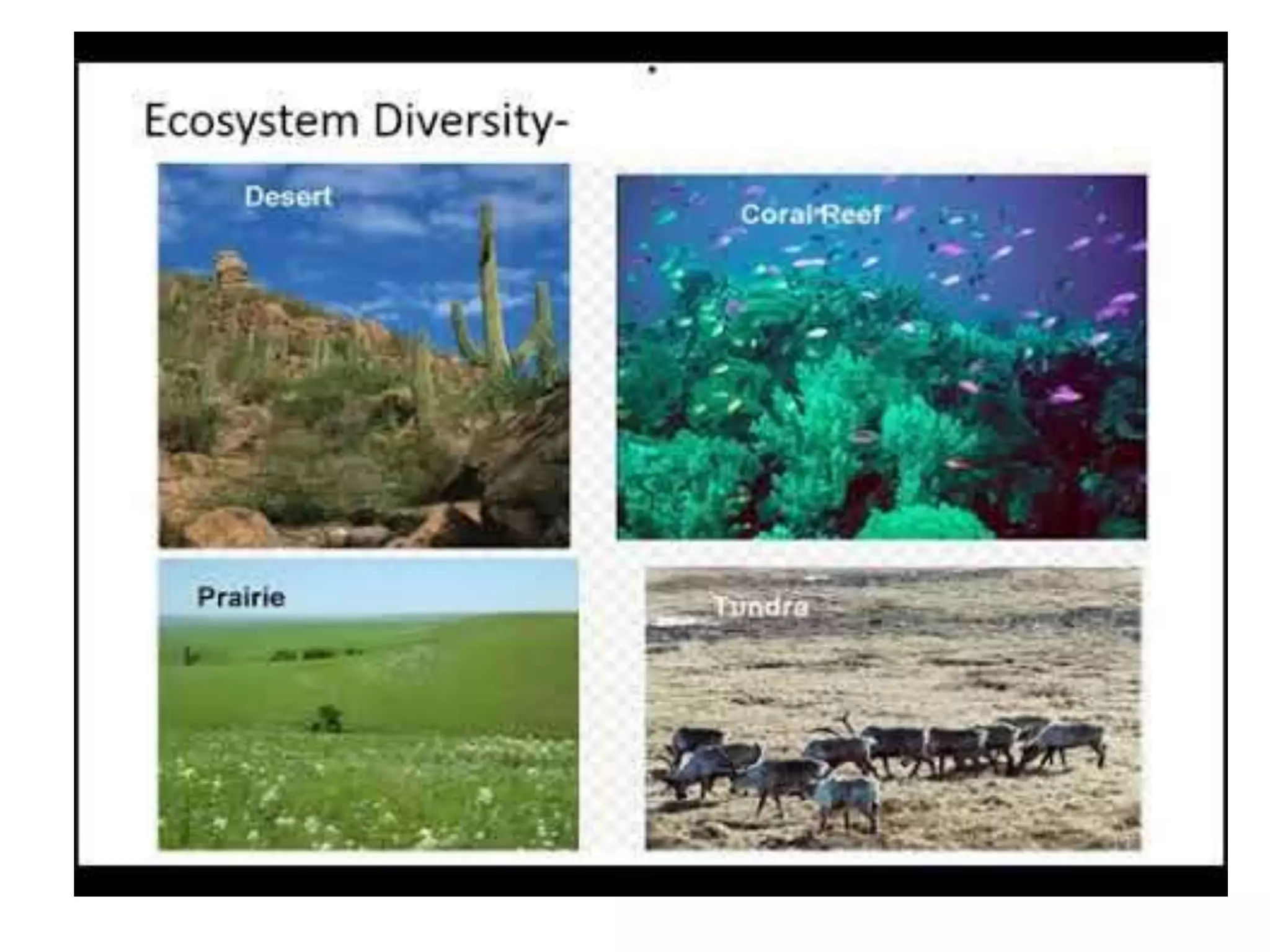 ES_Biodiversity_1_Intro&Types | PPTX