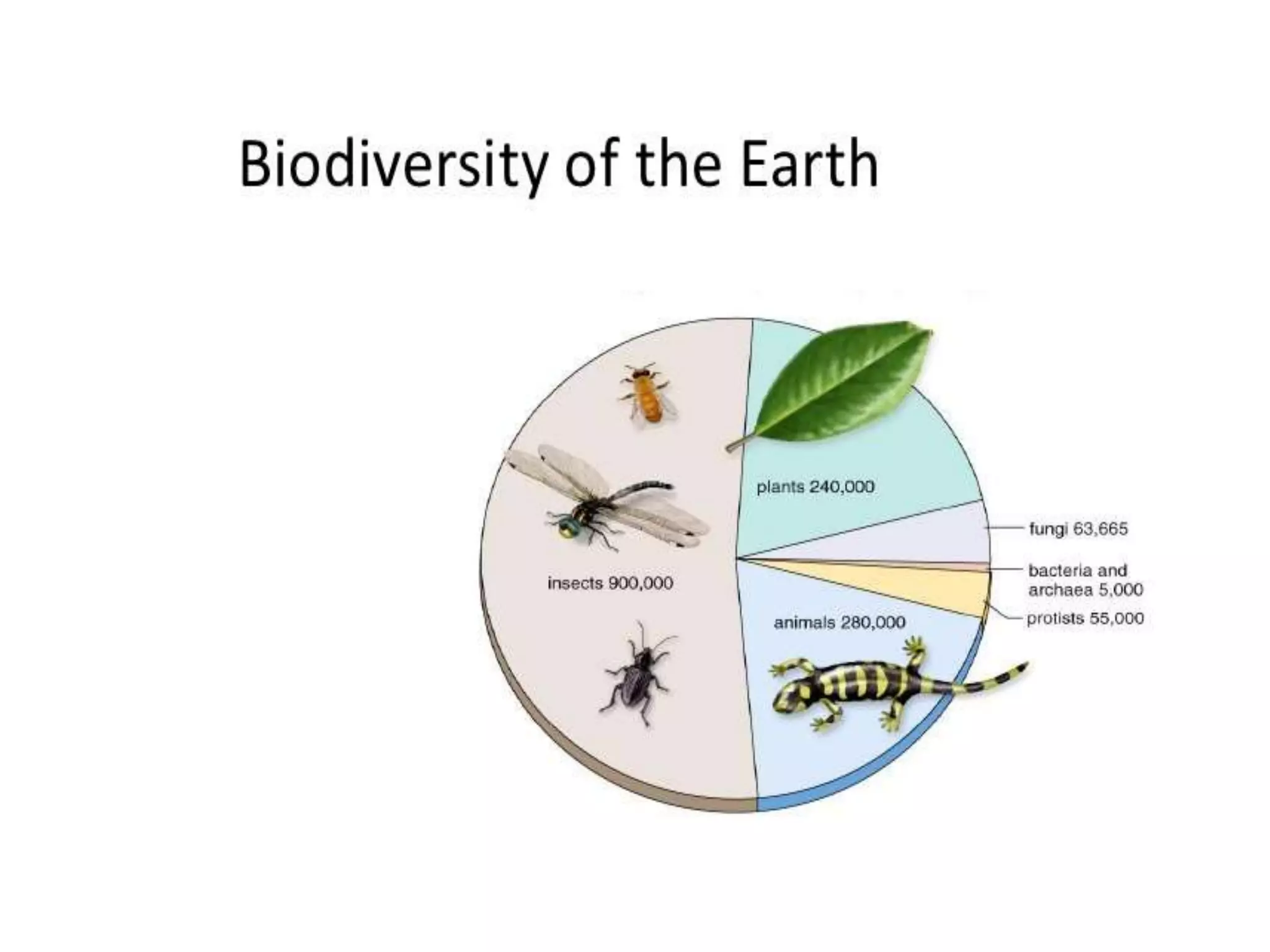 ES_Biodiversity_1_Intro&Types | PPT