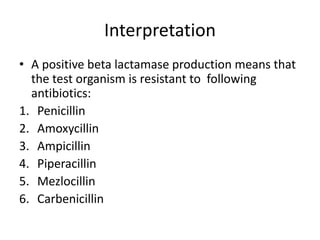 beta lactamases | PPTX