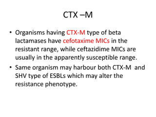 beta lactamases | PPTX