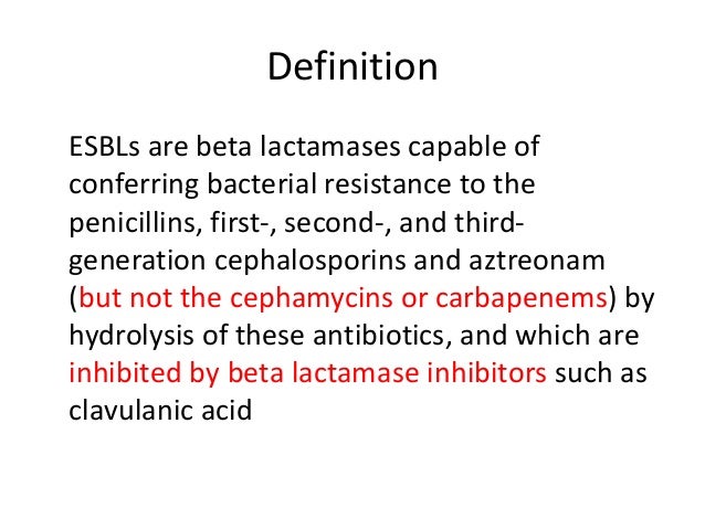beta lactamases