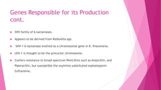 ESBL Producing Gram-Negative Infection | PPTX