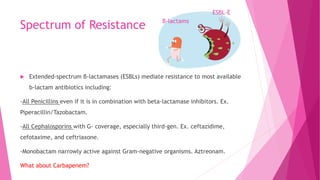 ESBL Producing Gram-Negative Infection | PPTX