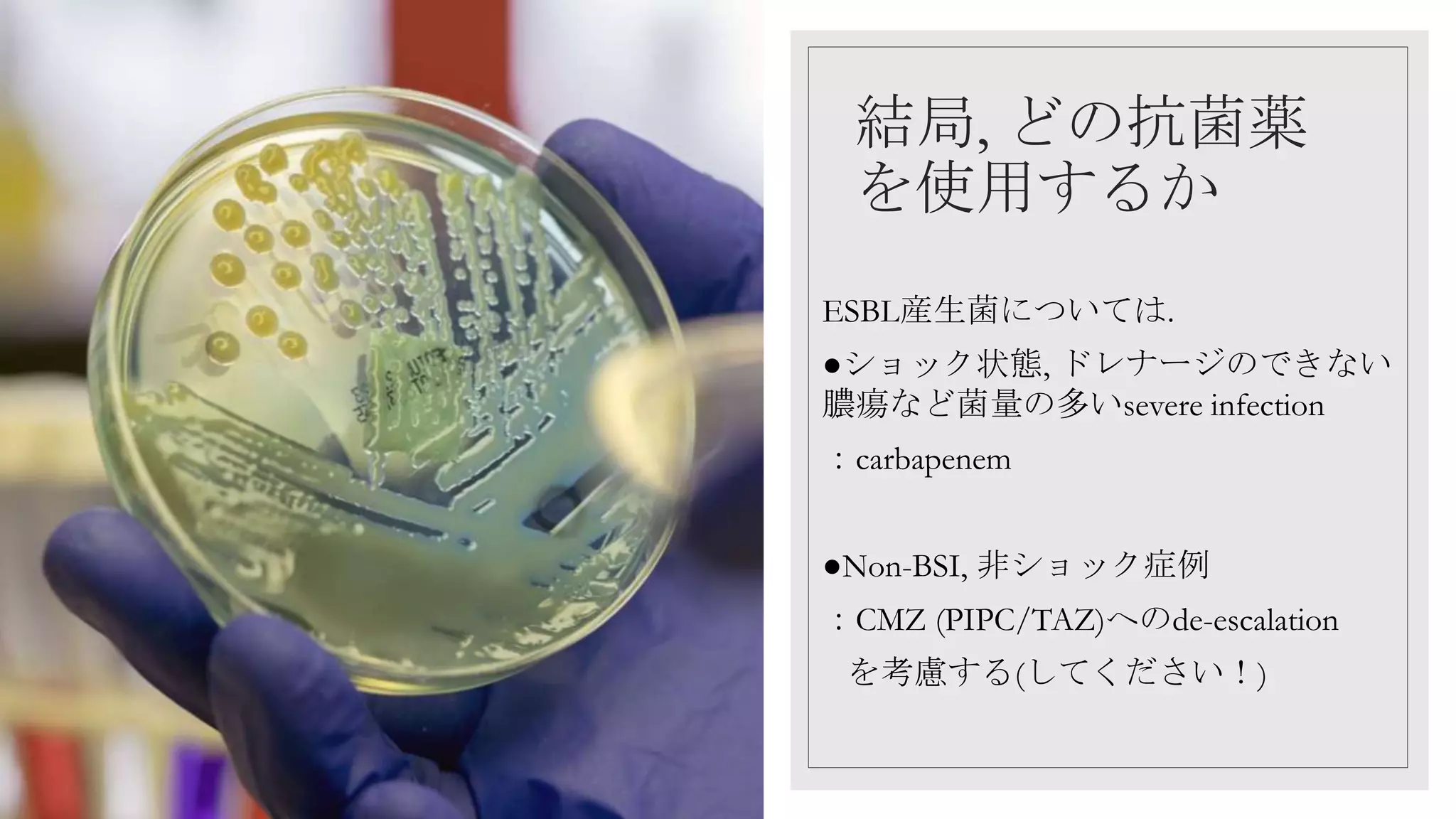 ESBL産生菌, AmpC過剰産生菌まとめ | PPTX