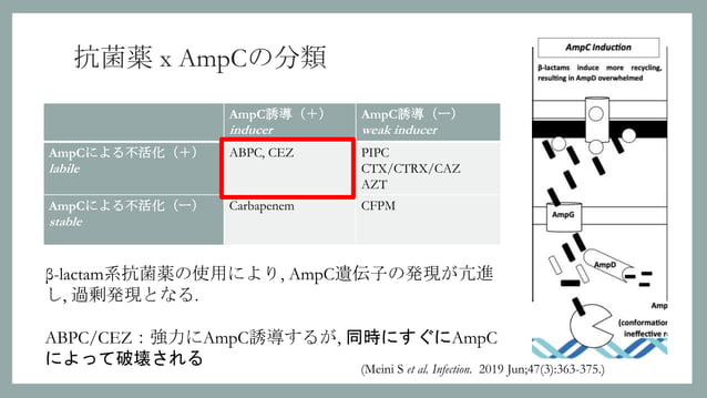ESBL産生菌, AmpC過剰産生菌まとめ | PPTX