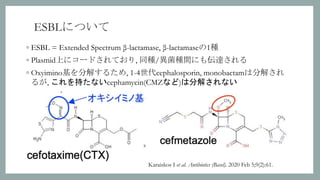ESBL産生菌, AmpC過剰産生菌まとめ | PPTX