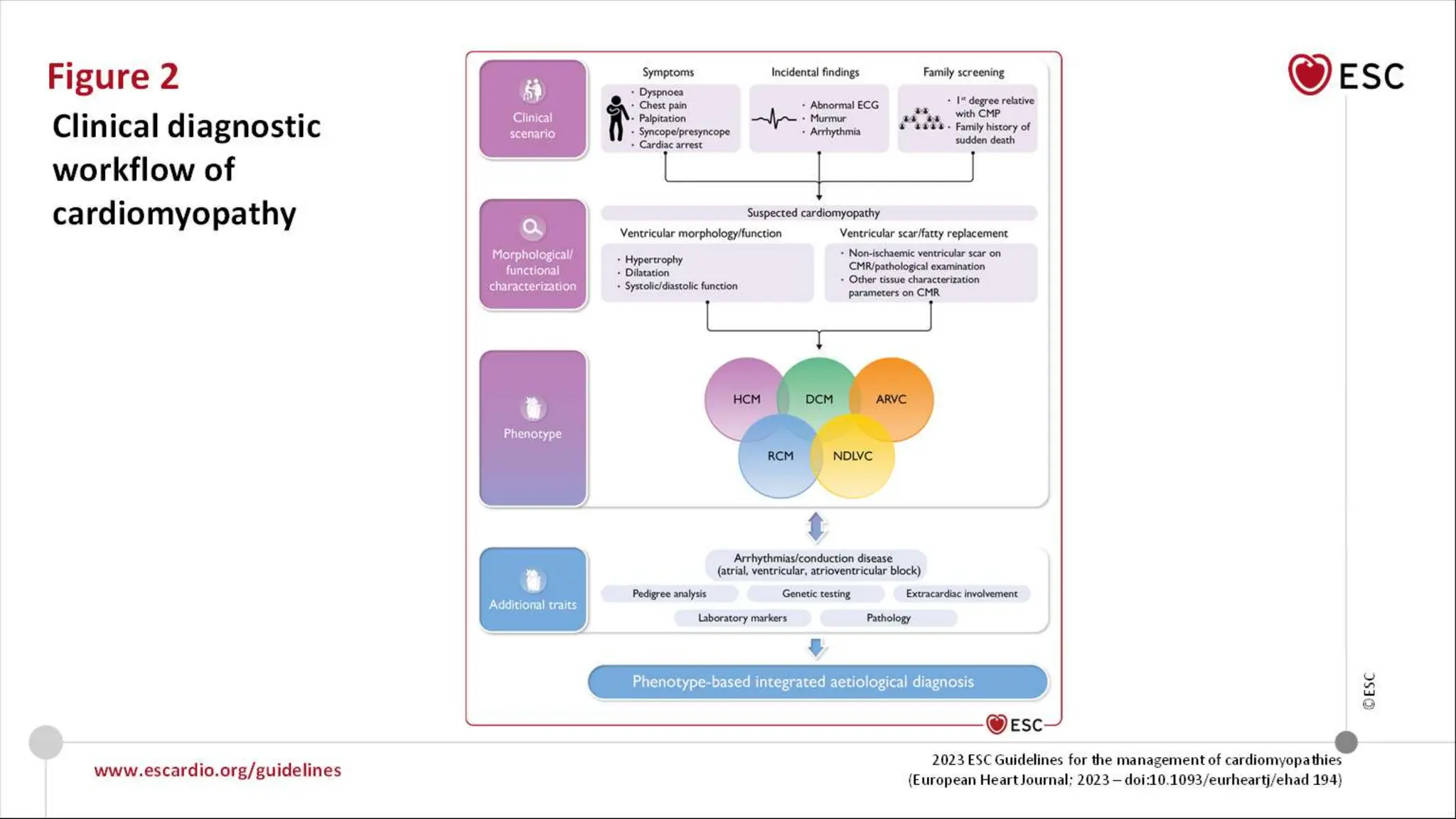 ESC 2023 Official slide set_Cardiomyopathies_Final_protected.pptx