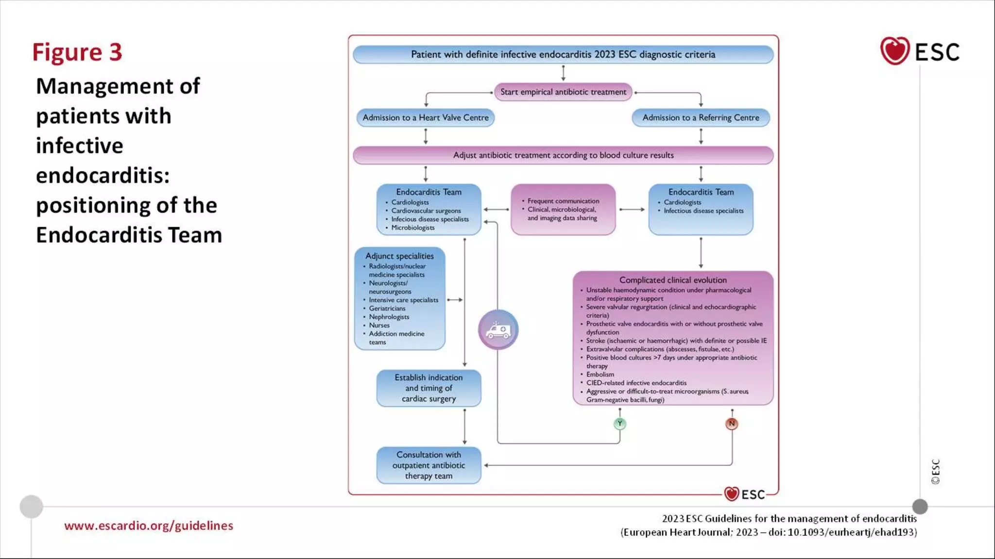 ESC 2023 Official slide set_Endocarditis_Final_protected.pptx