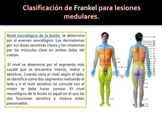 Escala de frankel | PPTX