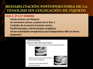 Escala de funcionalismo de strickland y otros procedimientos | PPTX