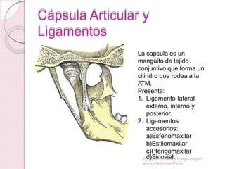 Semiologia de la articulación temporomandibular | PPTX