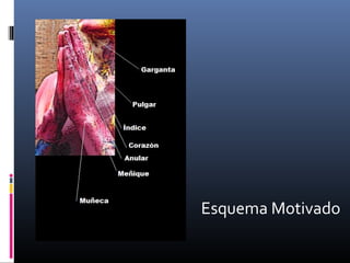 Escala de iconicidad | PPT
