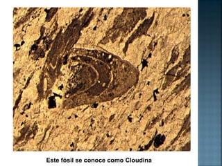Escala del tiempo geologico1 | PDF