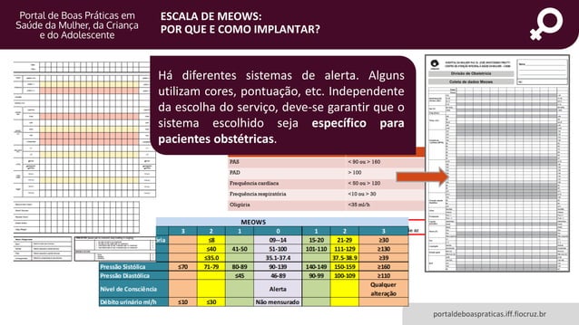 Escala de MEOWS: por que e como implantar?