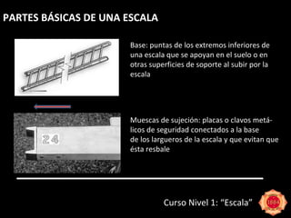 Escala Nivel 1 (2010) | PPT