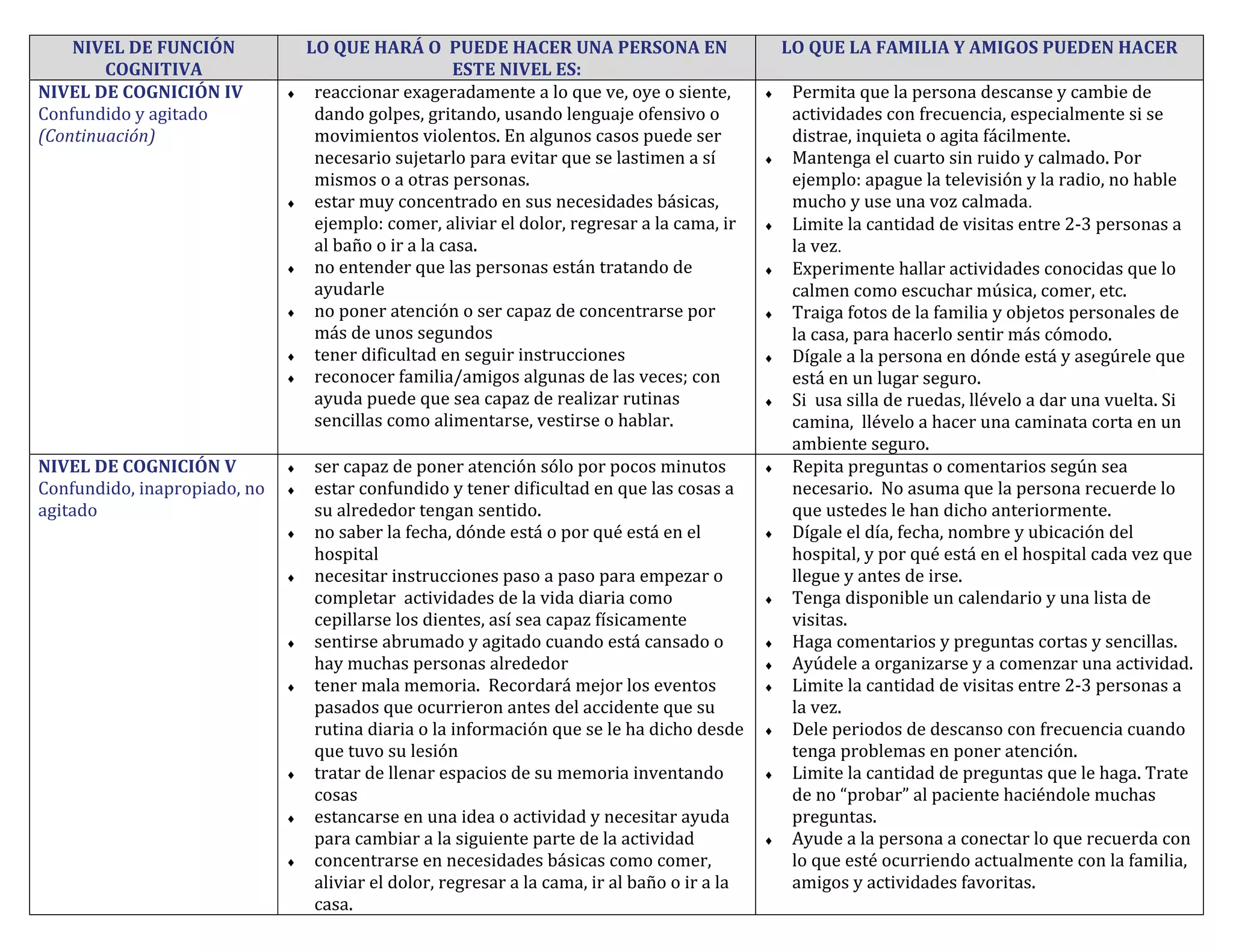 Escala rancho de los amigos.pdf