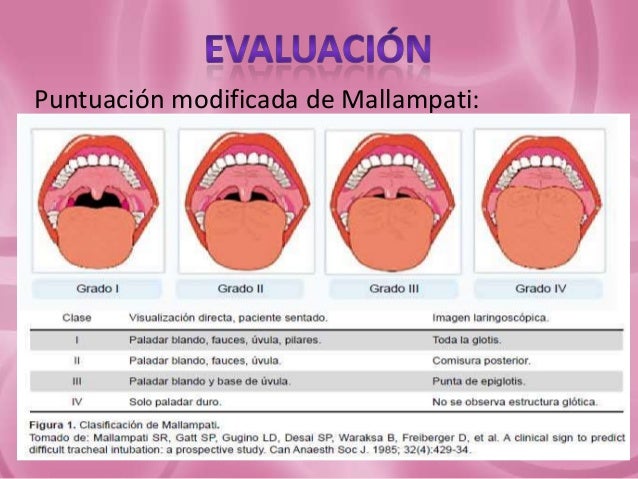 Escalas utilizadas en terapia respiratoria