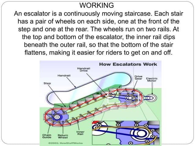 Escalators | PPTX | Track and Field | Sports