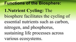environmental science water cycle and nitrogen cycl | PPTX