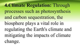 environmental science water cycle and nitrogen cycl | PPTX