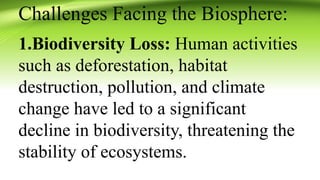 environmental science water cycle and nitrogen cycl | PPTX