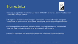 Fracturas de escapula, epidemiologia, biomecanica | PPTX