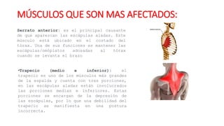 DEFINICIÓN DE LAS ESCAPULAS ALADAS EN LA FISIOTERAPIA | PPTX