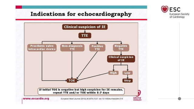Esc guidelines endocarditis by prof deldago | PPTX | Heart and ...