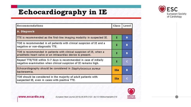Esc guidelines endocarditis by prof deldago | PPTX | Heart and ...