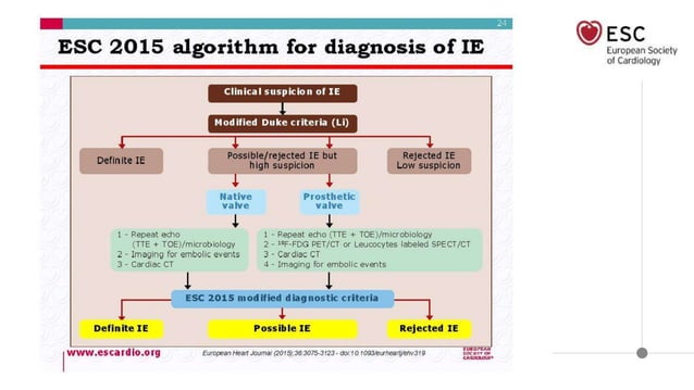 Esc guidelines endocarditis by prof deldago | PPTX | Heart and ...