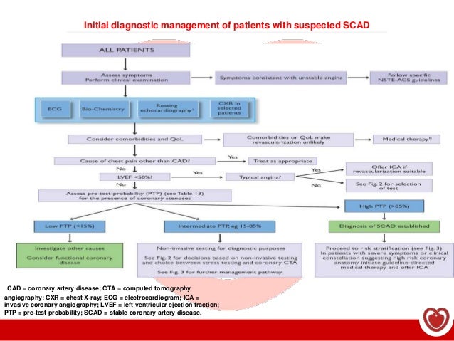 Esc guidleines on scad