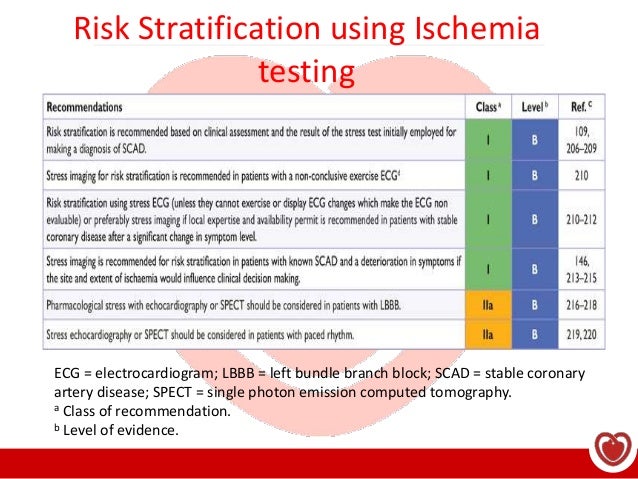 Chest Pain Risk Stratification