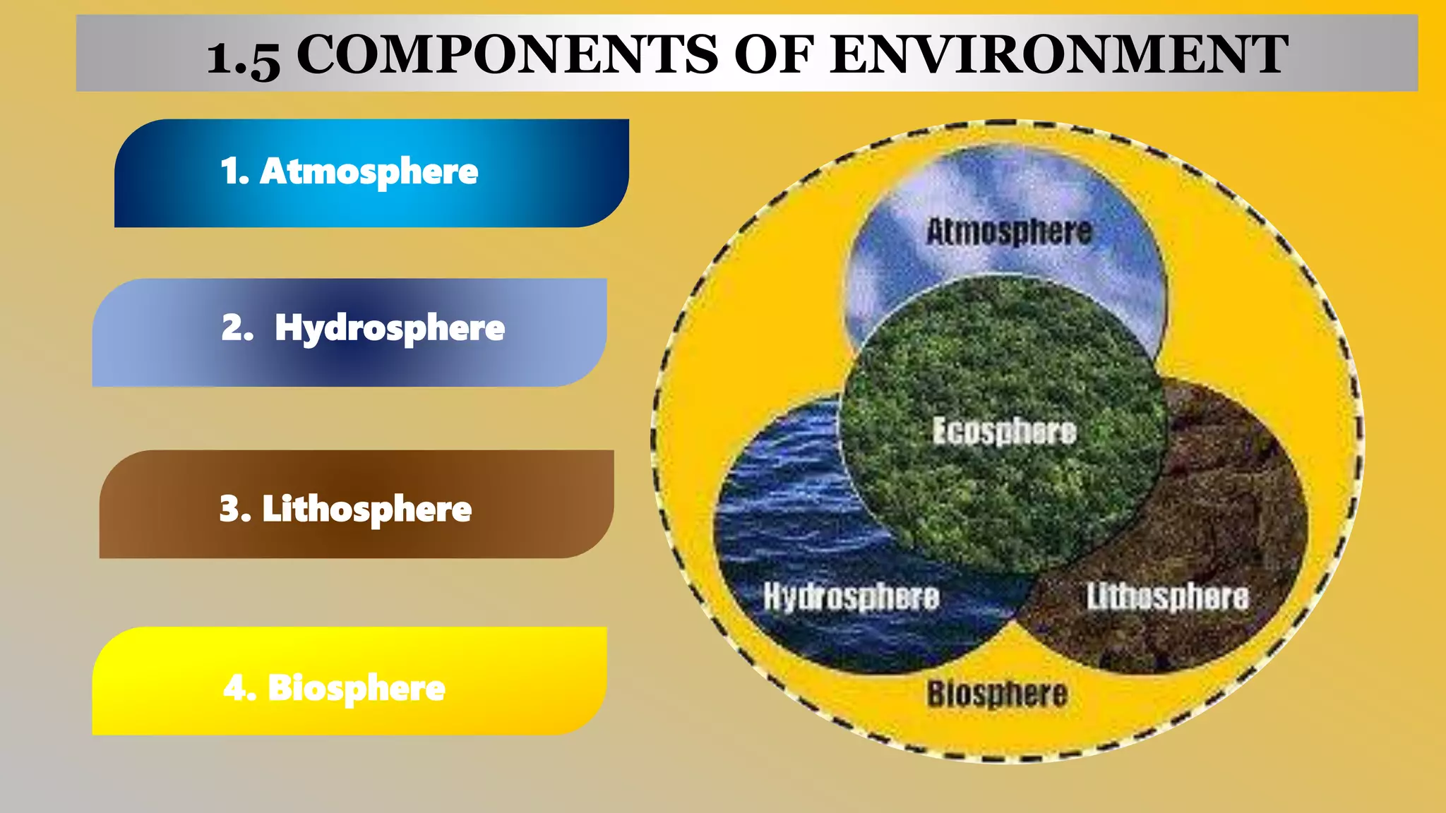 Introduction to Environment | PPTX
