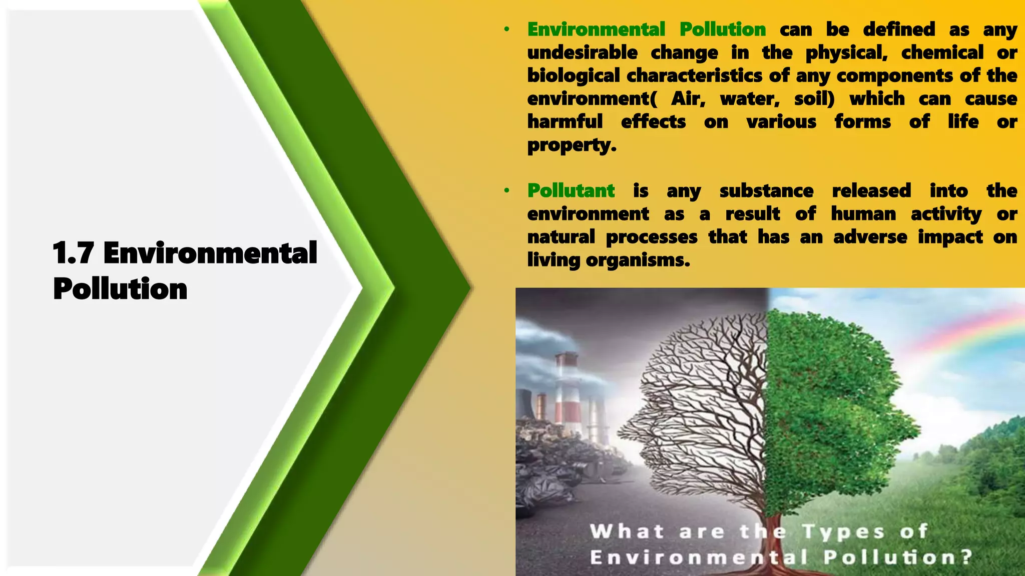 Introduction to Environment | PPTX