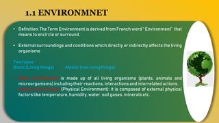 Introduction to Environment | PPTX