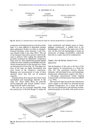 Geological research paper for Pab sandstone | PDF