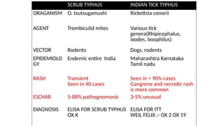 Epidemiology and distribution of Eschar in Rickettsial_fever.pptx