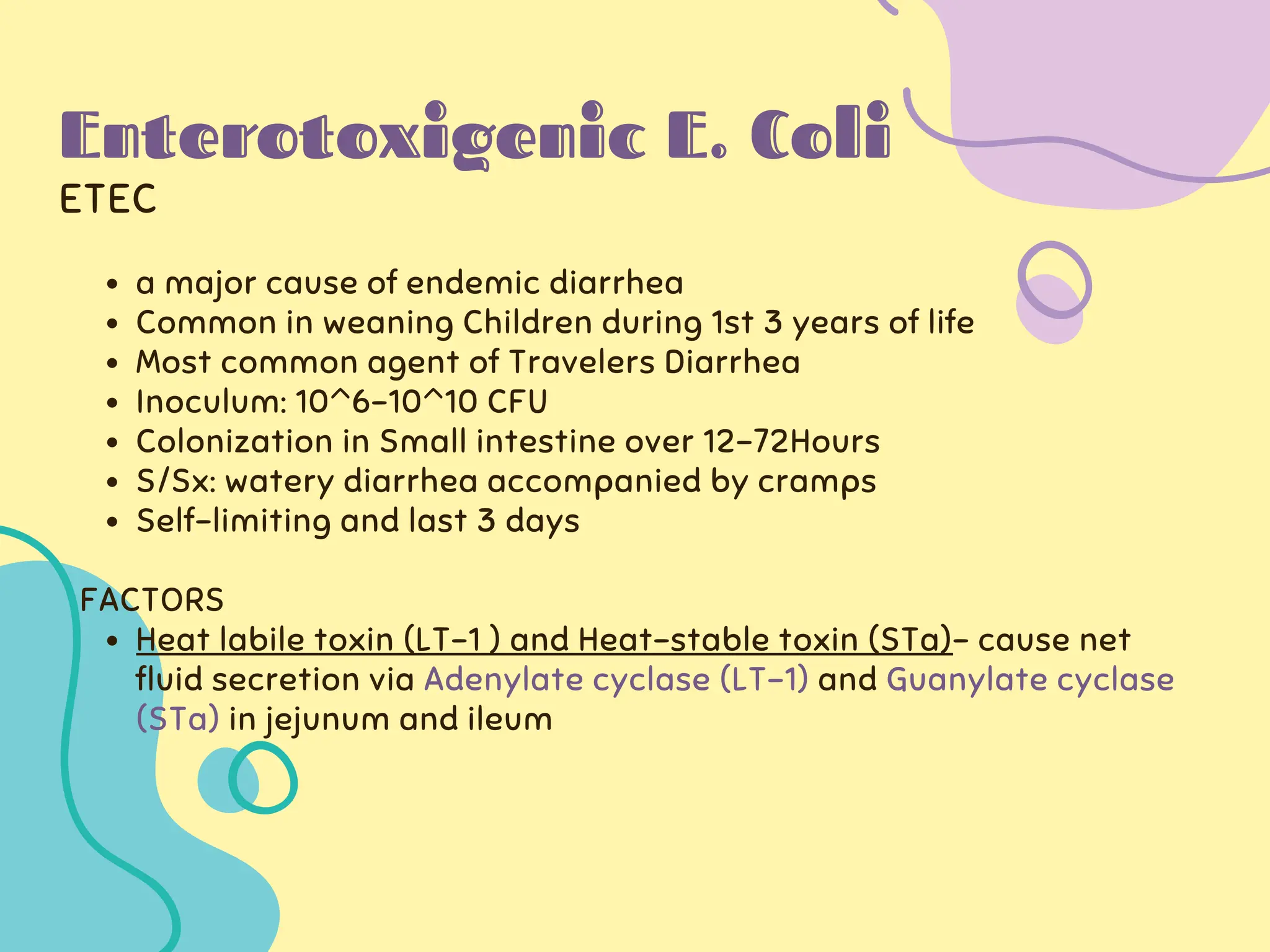 Escherichia-Coli.pdf
