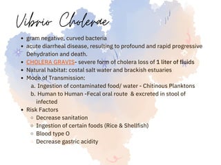 Escherichia-Coli.pdf