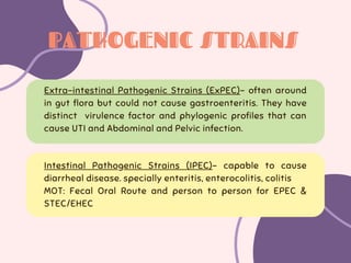 Escherichia-Coli.pdf