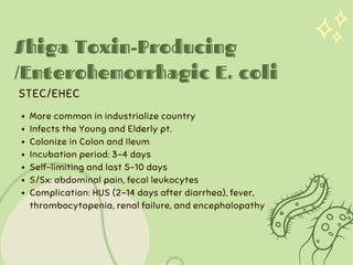 Escherichia-Coli.pdf