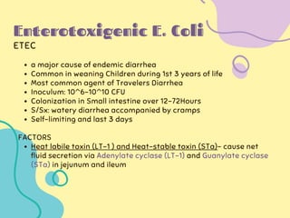 Escherichia-Coli.pdf