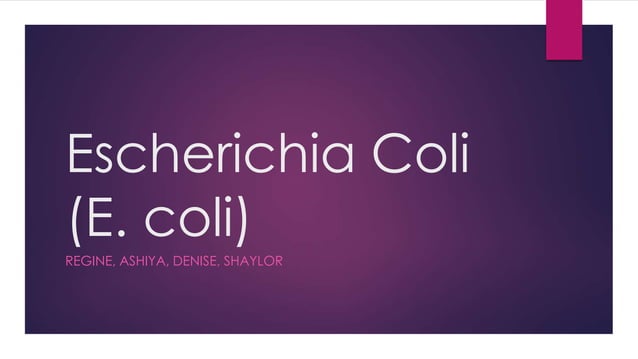 Escherichia coli | PPTX