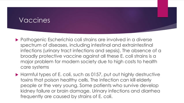 Escherichia coli | PPTX