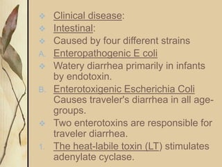 Escherichia coli | PPTX