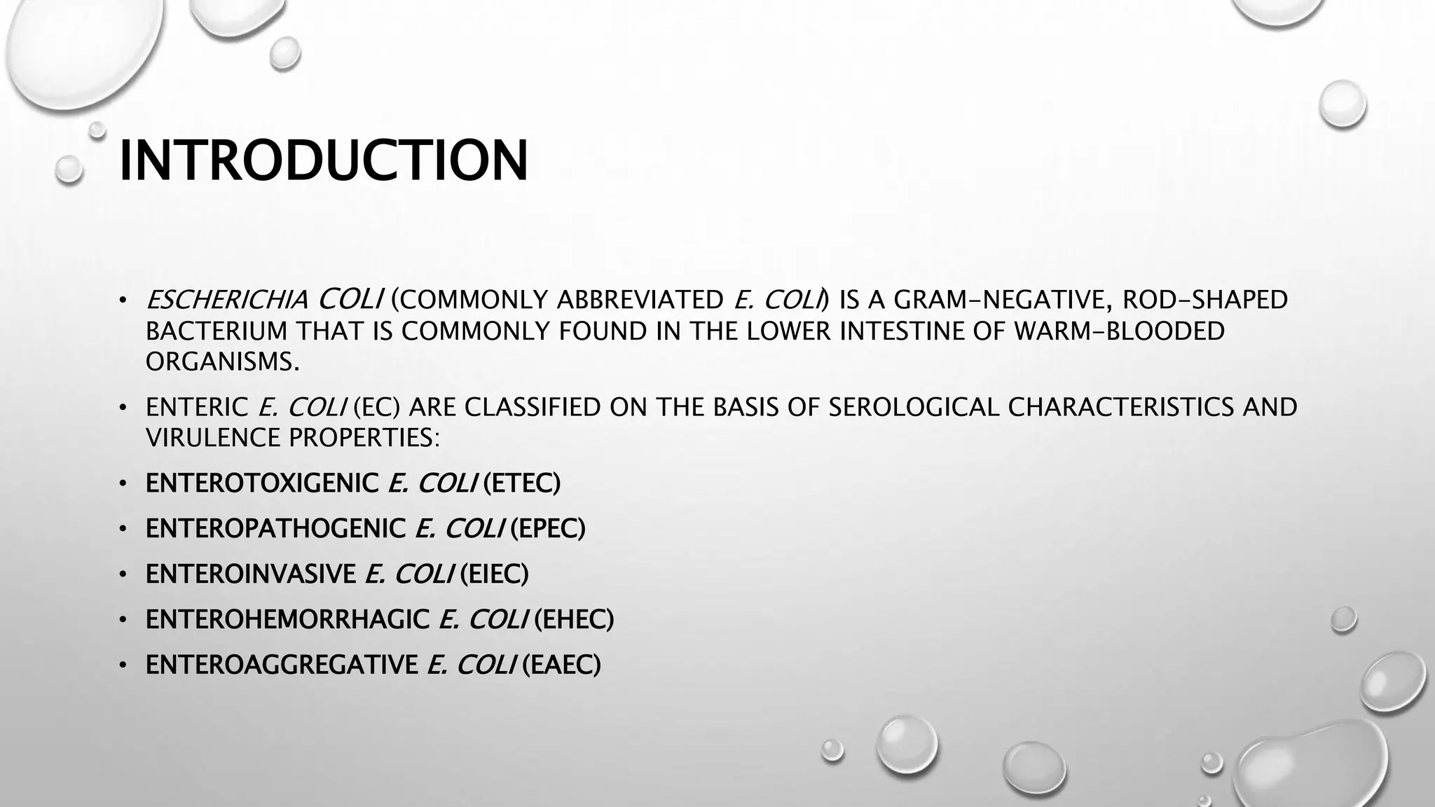 Escherichia coli (E coli) | PPTX