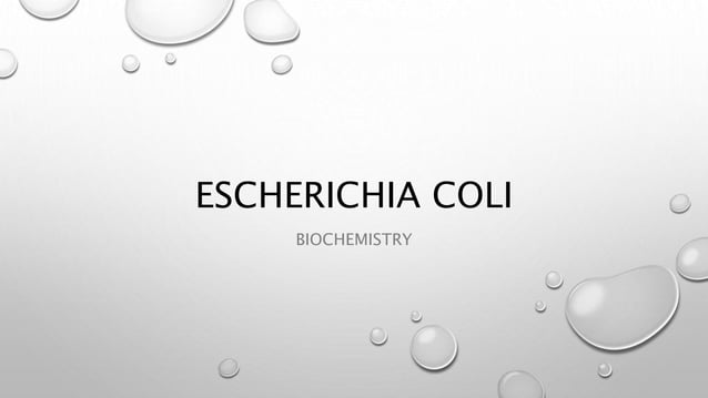 Escherichia coli (E coli) | PPTX