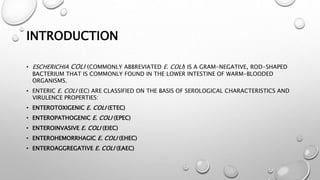 Escherichia coli (E coli) | PPTX