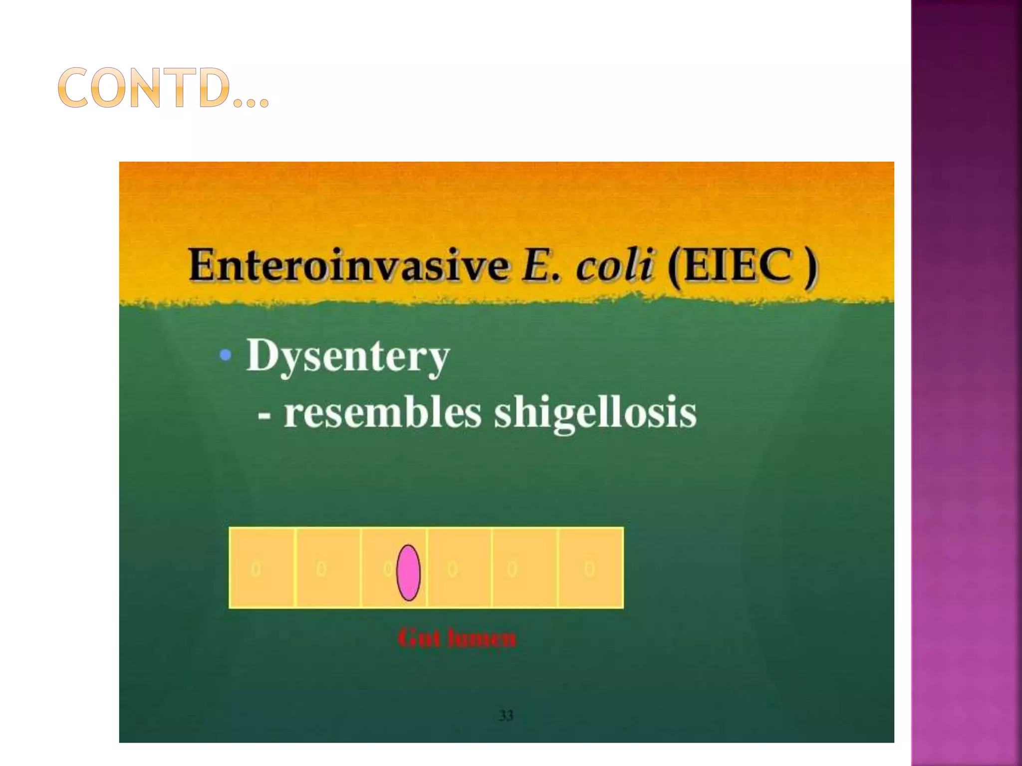 Escherichia coli | PPTX